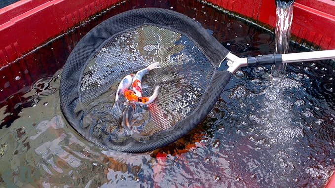 Amazon.com: 18 Inch Koi Net with Telescopic Handle: Everything Else