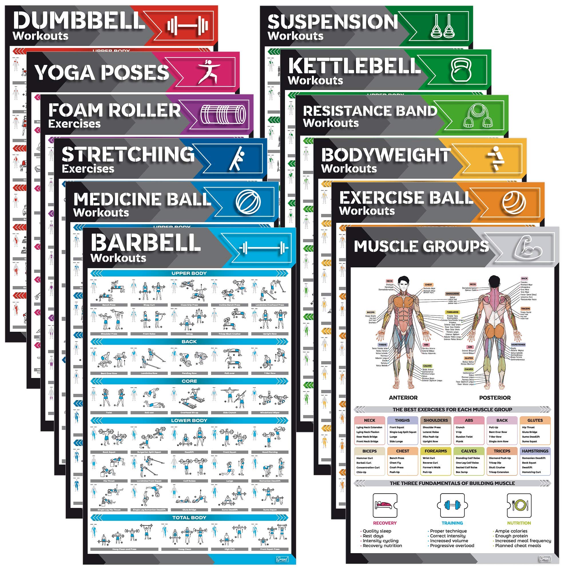 12 Pack Laminated Large Workout Poster Set Perfect Workout Posters ...