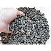 Amazon.com : Organic Dried Crushed Sheep Manure - 1 Pound : Fertilizers ...