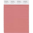 Amazon.com: PANTONE Smart 16-1526X Color Swatch Card, Terra Cotta ...