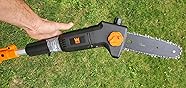 Amazon.com : WEN 4019 6-Amp 8-Inch Electric Telescoping Pole Saw ...