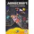 Minecraft: Stories from the Overworld (Graphic Novel): Larson, Hope ...