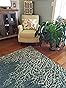Amazon.com: Mohawk Home Coral Reef Coastal Area Rug, 5'x8', Blue ...