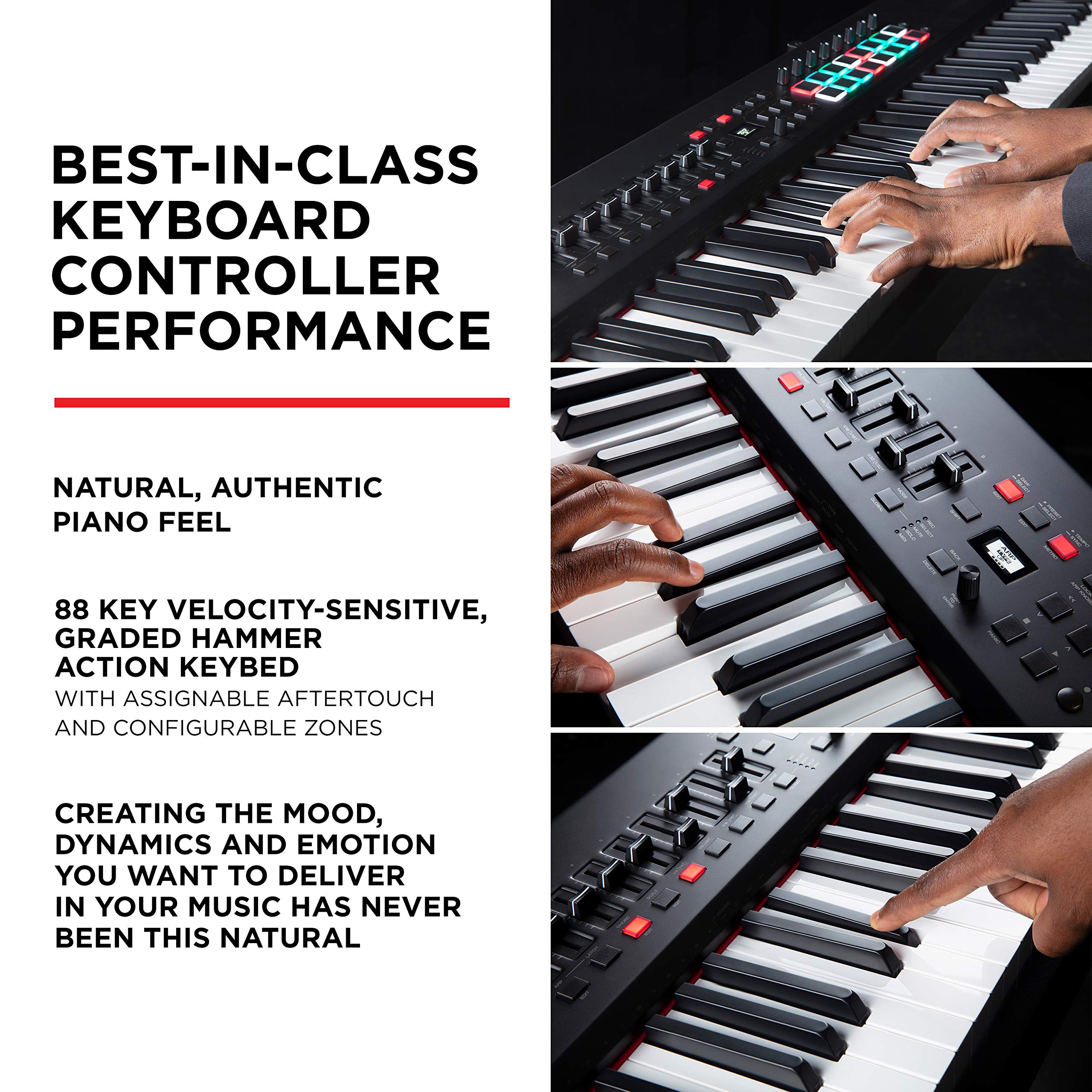 Mua M-Audio Hammer 88 Pro – 88 Key USB MIDI Keyboard Controller With ...