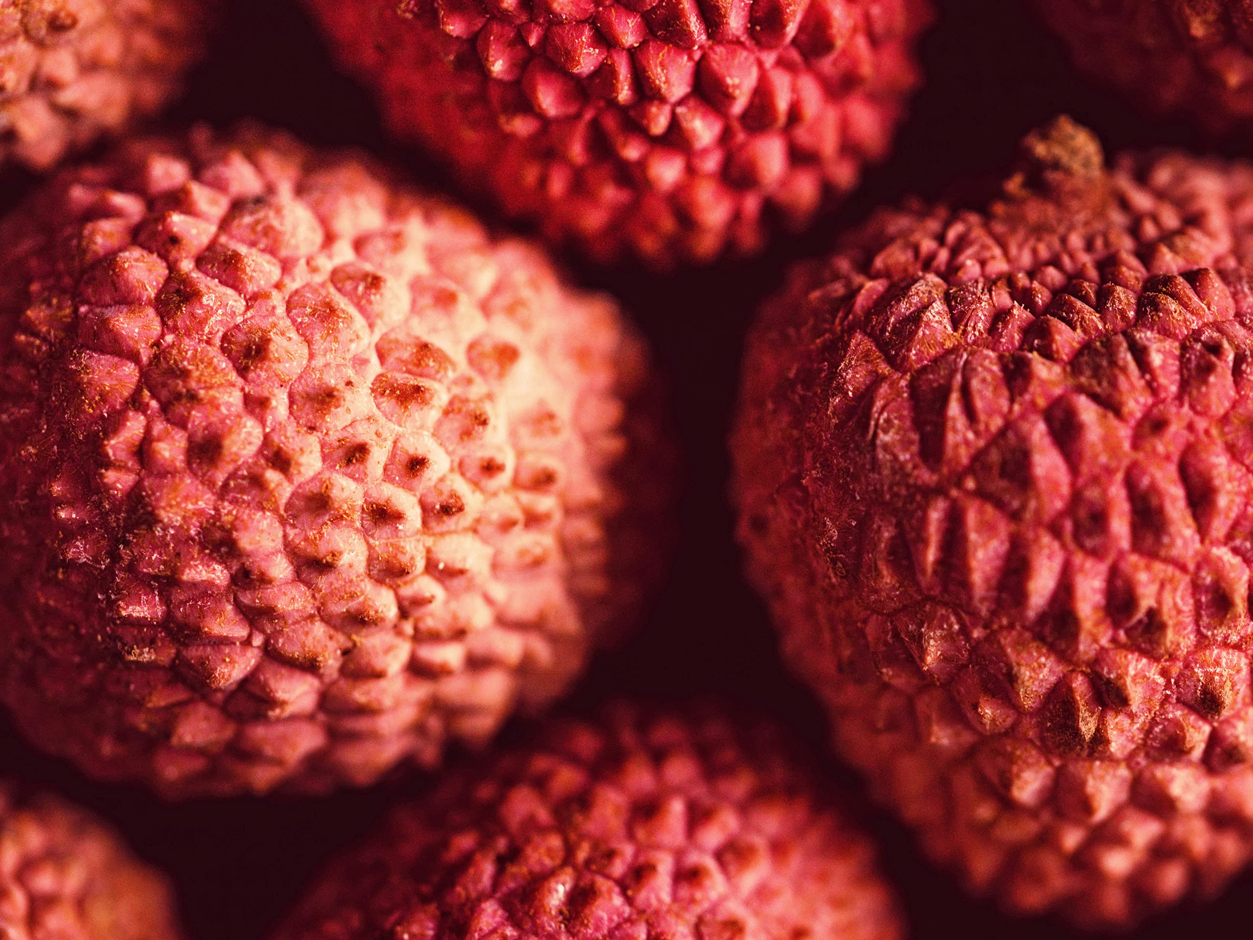 Watch The Botanist's Eye: Identifying the Plants around You | Prime Video