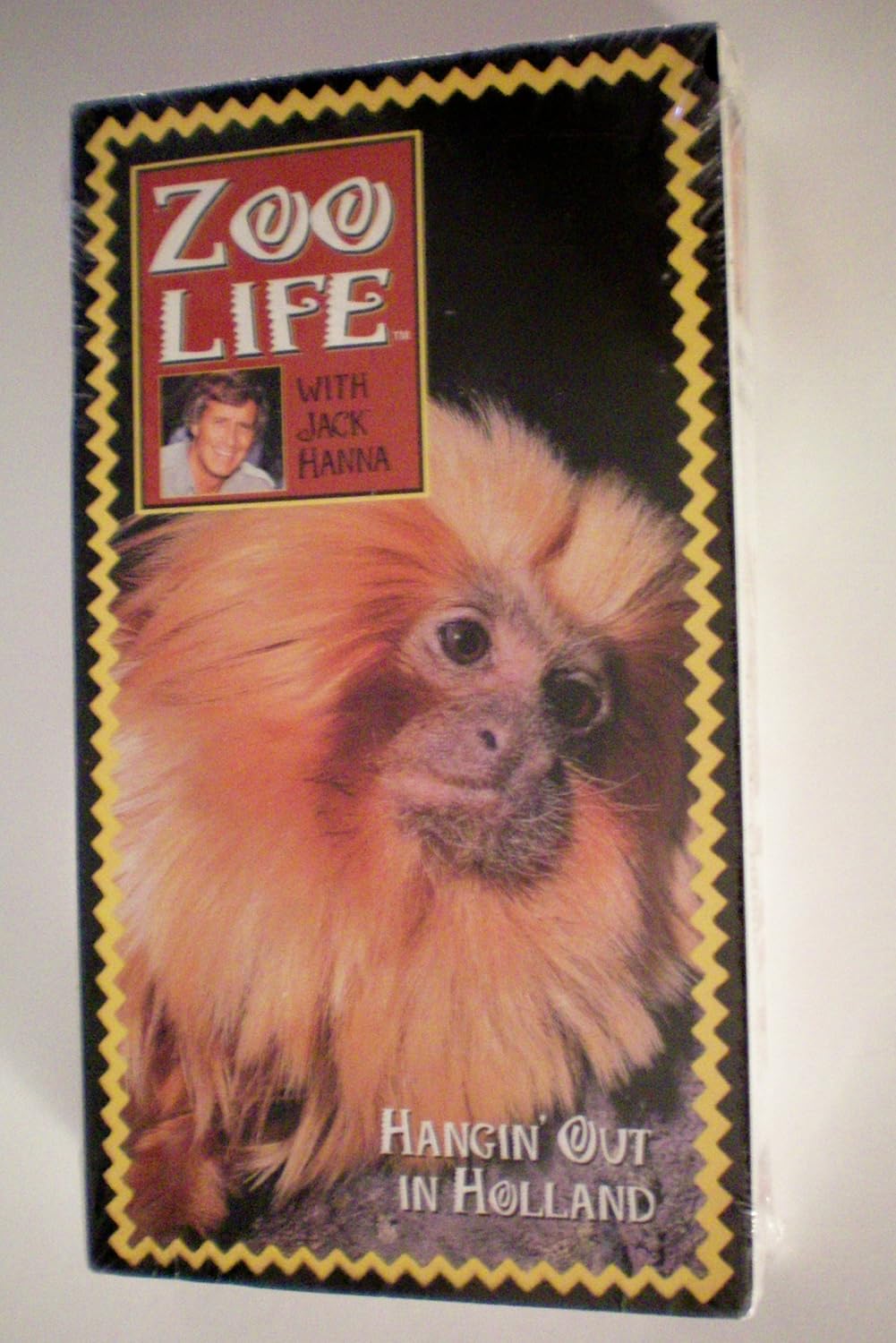 Amazon.com : Zoo Life with Jack Hanna -- Hanging Out in Holland : Other ...