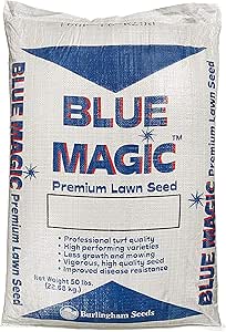 Amazon.com : Burlingham Seeds Blue Magic Athletic Mix | 50% Kentucky ...