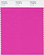 Pantone 13-0630 Nylon Brights Color Swatch Card - House Paint - Amazon.com