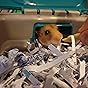 Rosewood PICO Hamster Home, Translucent Teal : Amazon.co.uk: Pet Supplies