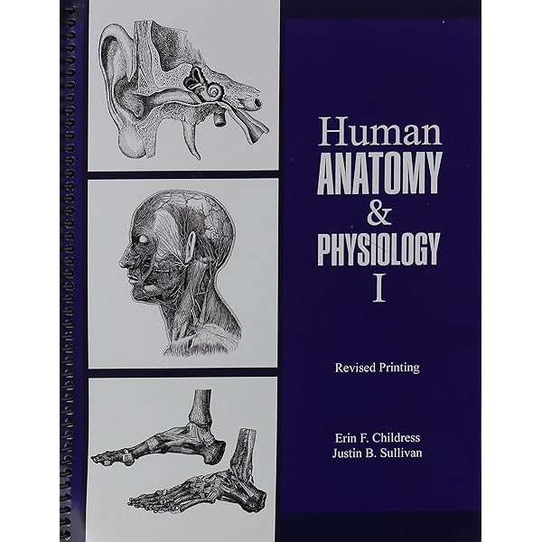 Dogfish Anatomy And Dissection Guide