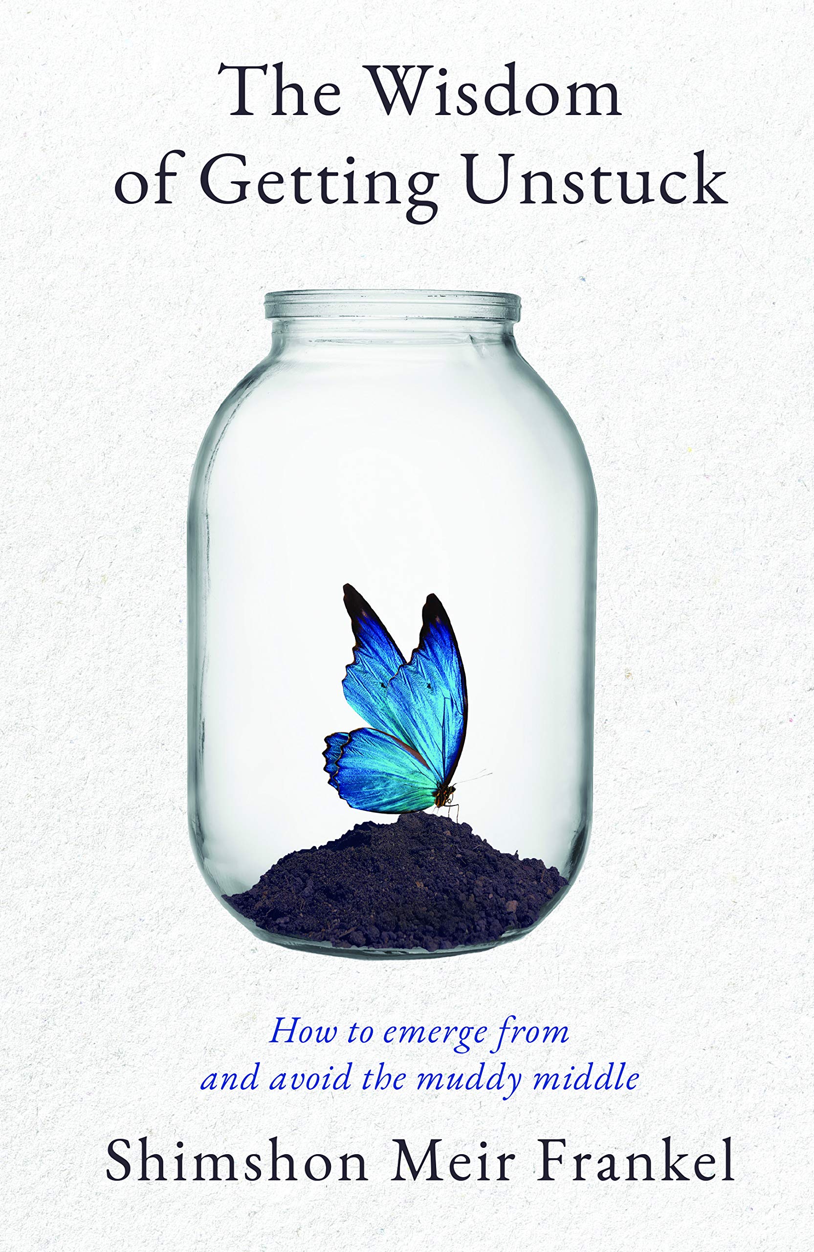 Rabbi Shimshon Meir Frankel: The Wisdom Of Getting Unstuck