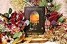 Foundryside: A Novel (The Founders Trilogy): Bennett, Robert Jackson ...