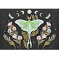 Luna Moth Note Cards (14 Cards, 15 Self-Sealing Envelopes): Peter ...