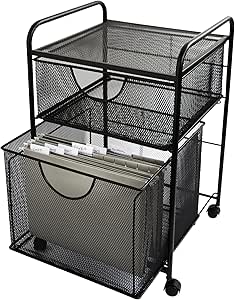 Amazon.com: Design Ideas 2 Drawer File Cart, Black : Office Products