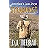 STEADFAST Book One: America's Last Days (The Steadfast Series 1 ...