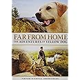 Amazon.com: Far From Home - The Adventures Of Yellow Dog : Jesse ...