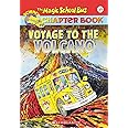 The Magic School Bus Science Chapter Book #15: Voyage to the Volcano ...