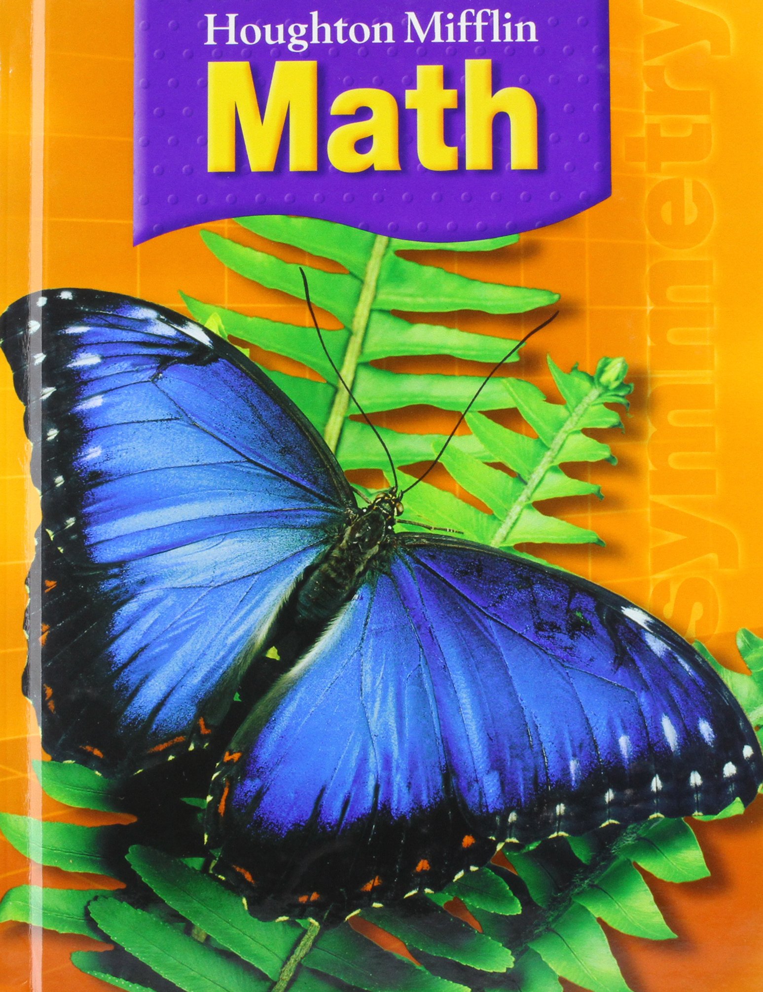 Houghton Mifflin Math Expressions Grade 4 Pdf Answer Key Sara Battle 