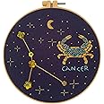 Amazon.com: mozhijing Constellation Embroidery Kit for Adults with ...