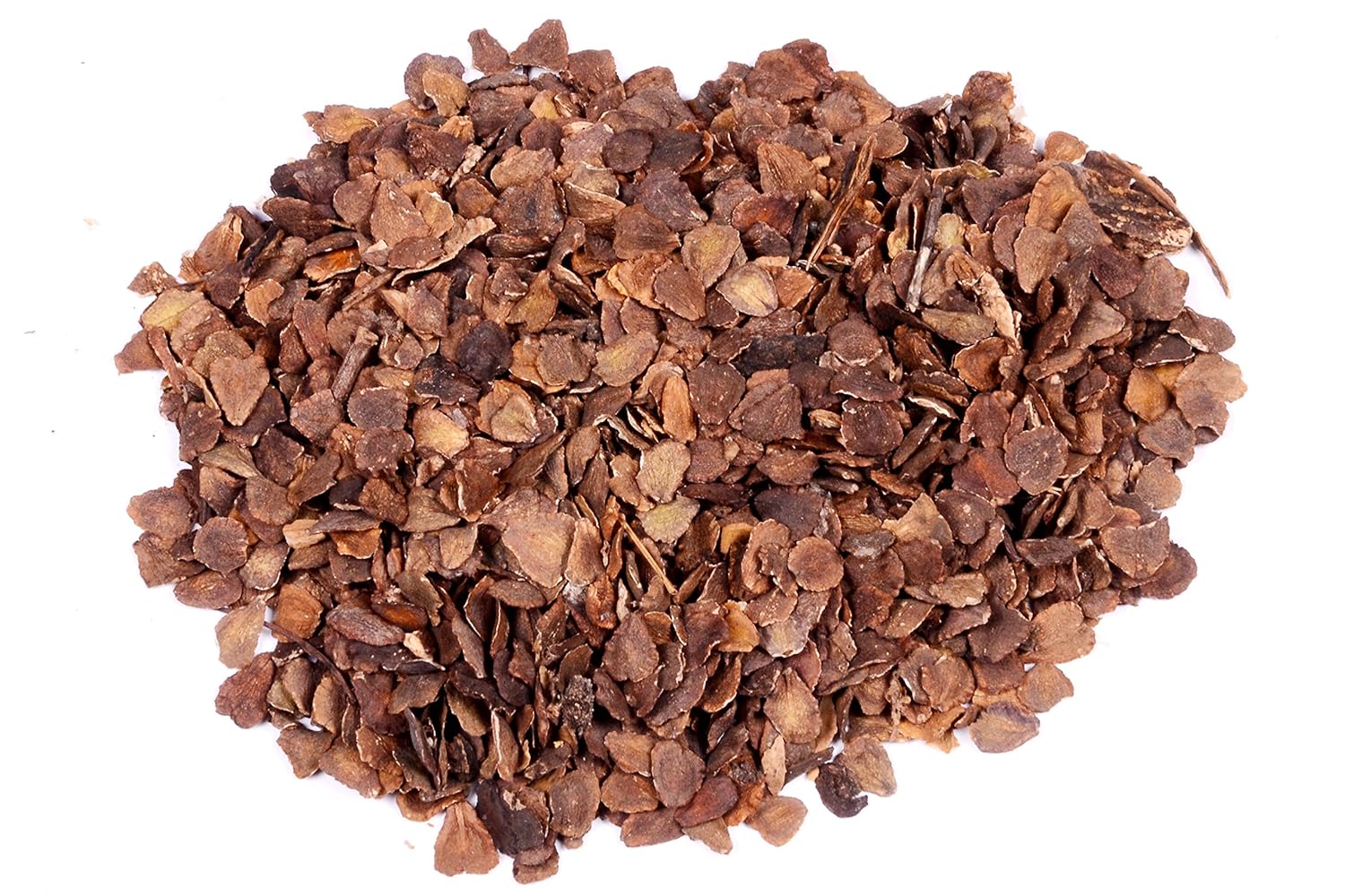 RK Seeds - Jacaranda - blue jacaranda tree seeds - Jacaranda ...