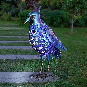 Amazon.com : Exhart Blue Jay Statue w/Solar Powered LED Lights –Cute ...
