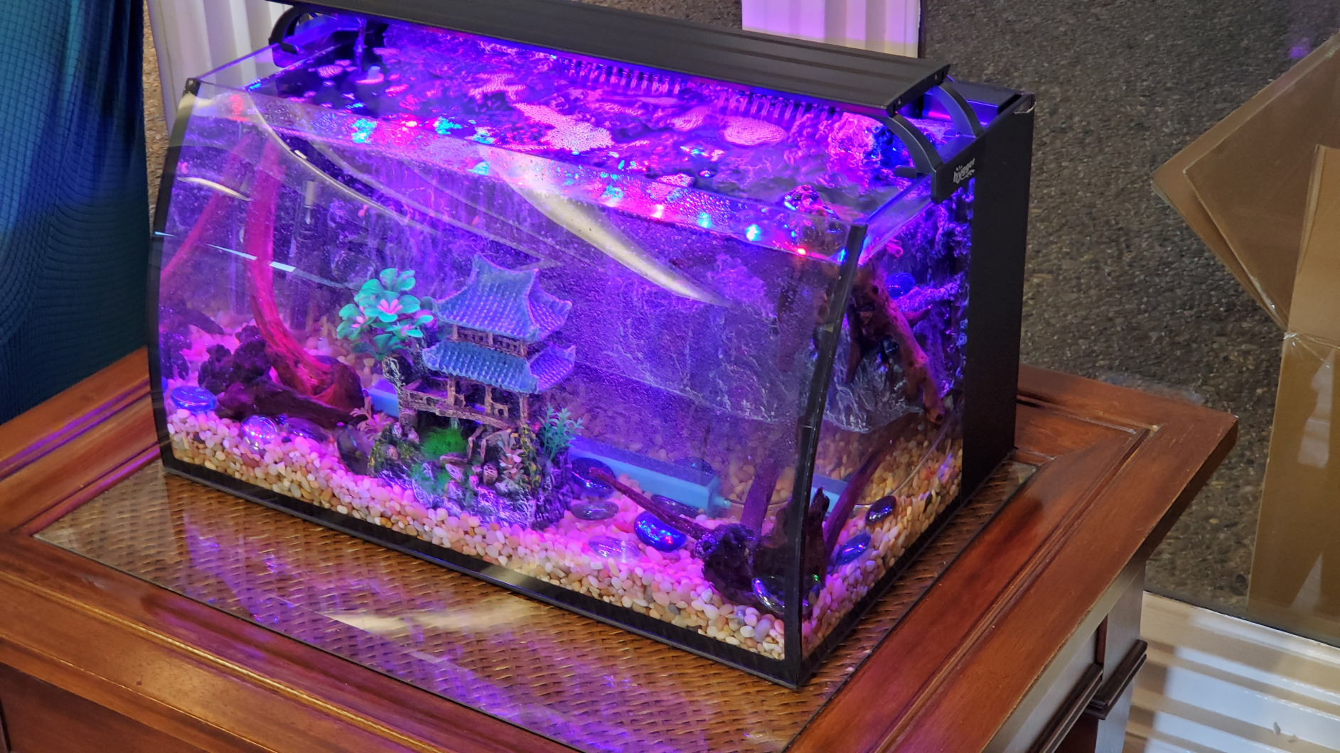 $23/mo - Finance hygger Horizon 8 Gallon LED Glass Aquarium Kit for ...