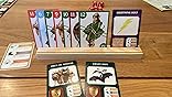 Amazon.com: Gamewright Dragonwood A Game of Dice & Daring Board Game ...