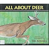 Jim Arnosky's All About Alligators: Jim Arnosky: 9780590467889: Amazon ...