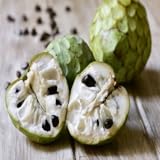 Cherimoya - How to grow & care