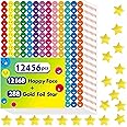 Amazon.com: 12456 Pcs Happy Face Star Stickers Mega Bundle in 14 Colors ...