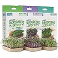 Amazon.com : Back to the Roots DIY Microgreen Grow Kit, 6-Grow Variety ...