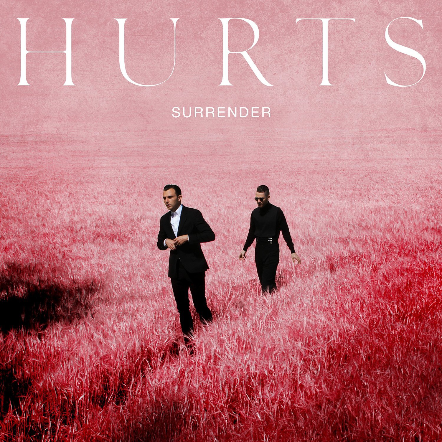 Surrender (Deluxe-Edition): Amazon.de: Musik-CDs & Vinyl