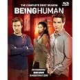 Amazon.com: Being Human: Season 2 [Blu-ray] : Sam Witwer, Meaghan Rath ...