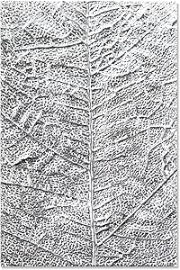 Amazon.com: Sizzix 3-D Textured Impressions Embossing Folder, Multicolor