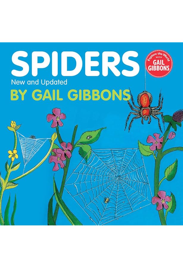 Spiders For Kindergarten