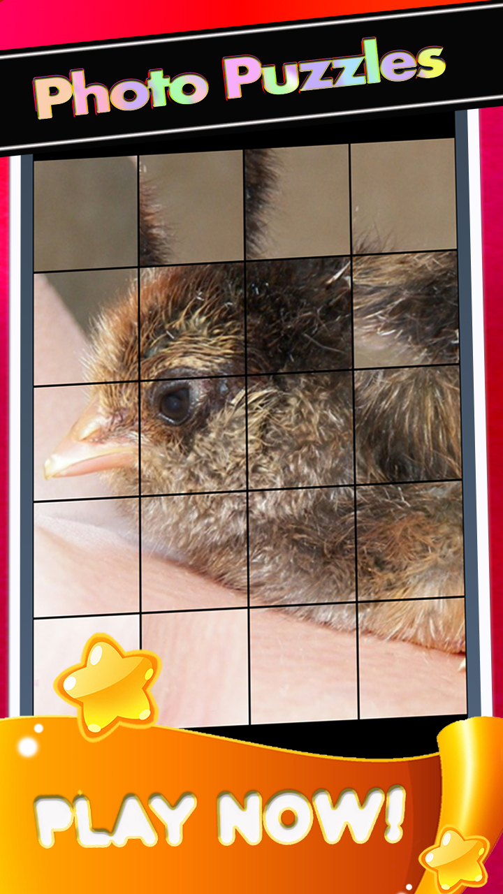 Amazon.com: Cute Chick Pictures-Baby Chickens Puzzle Game: Appstore for ...