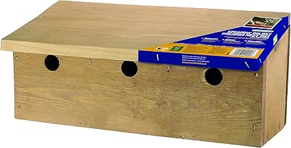 Sparrow Colony Premium Nest Box FSC: Amazon.co.uk: Pet Supplies