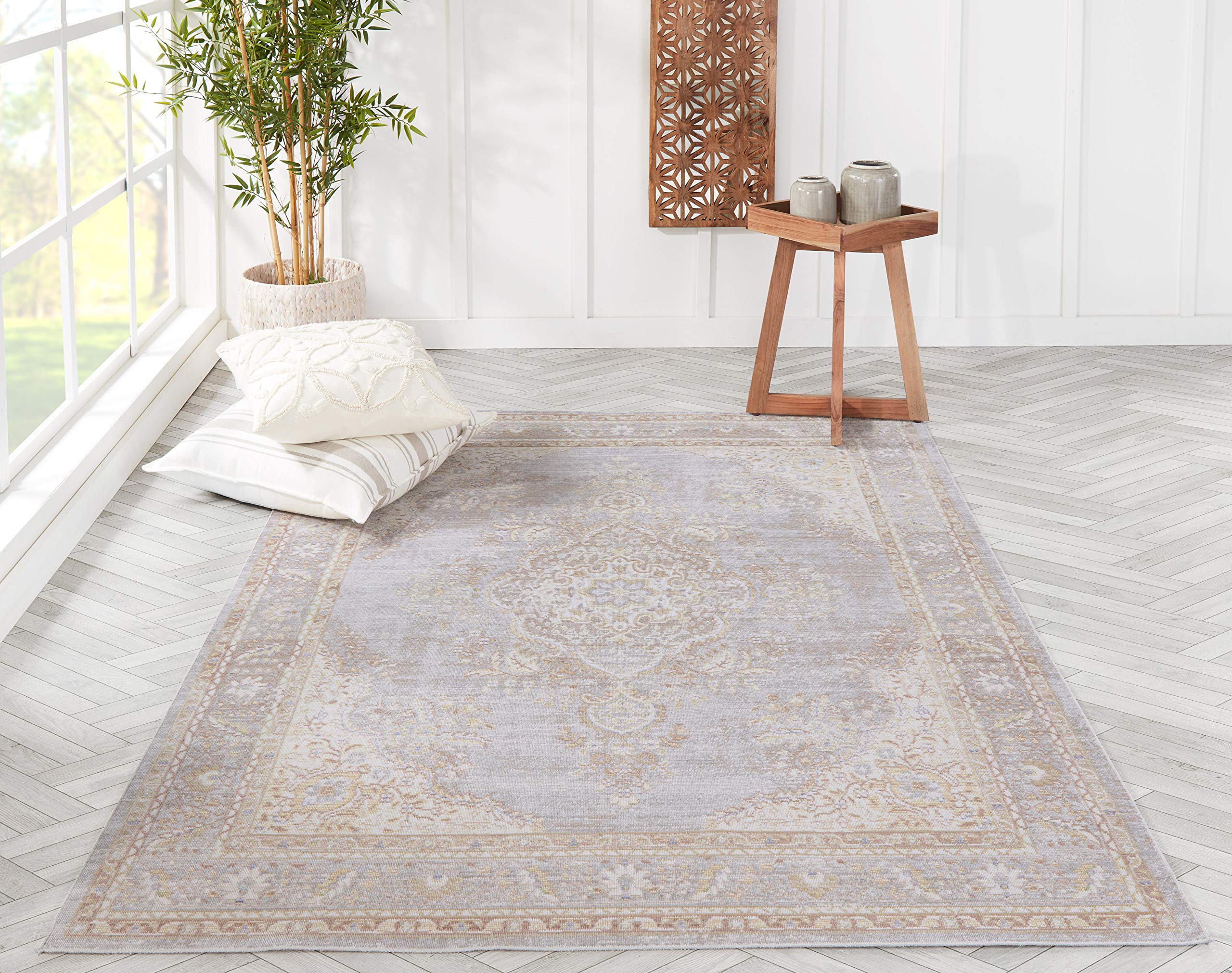 Momeni Rugs Isabella Traditional Medallion Flat Weave Area Rug, 7'10" X ...