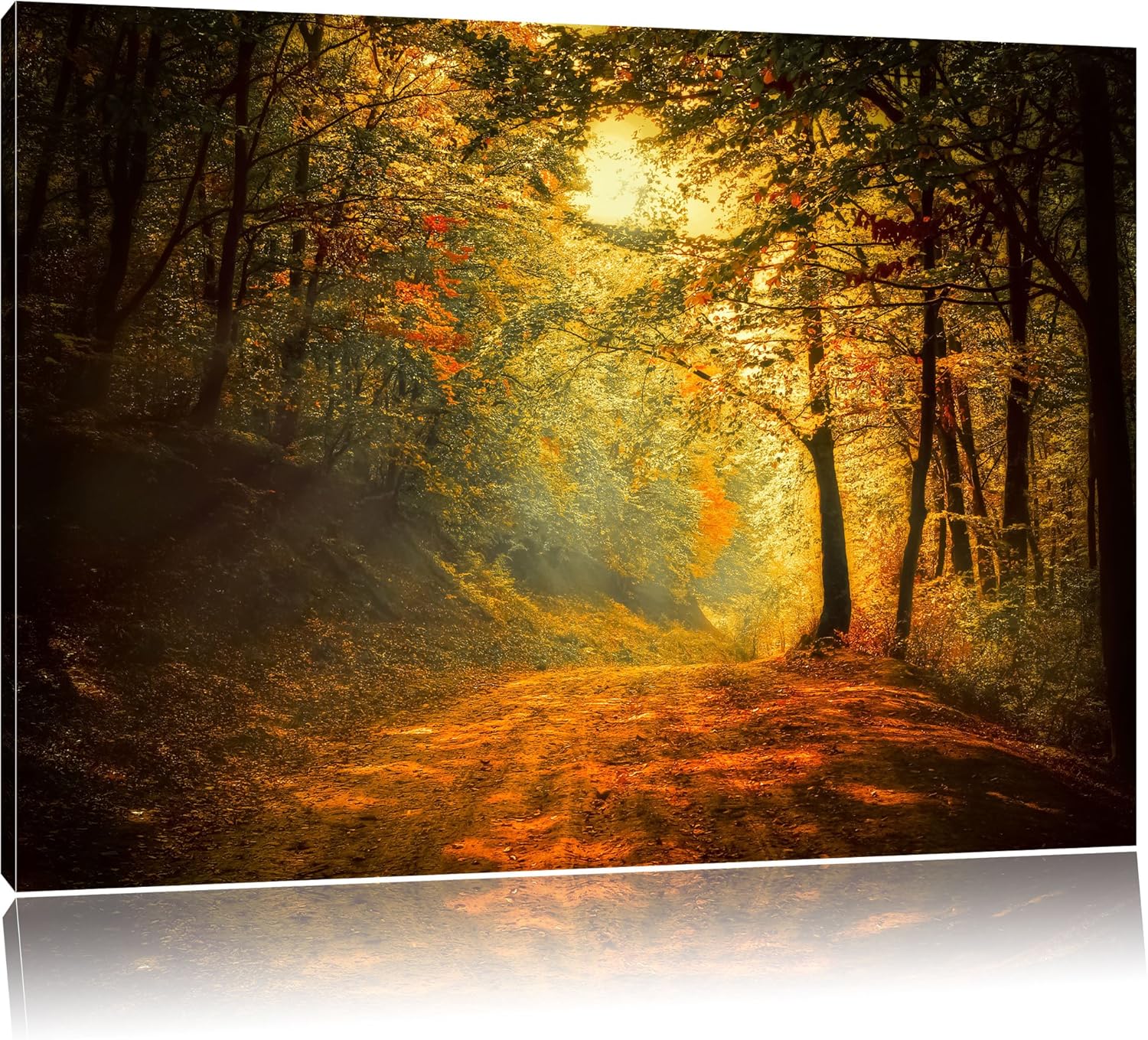 Pixxprint Wald Format: 100x70 cm auf Leinwand, XXL riesige Bilder fertig gerahmt mit Keilrahmen ...