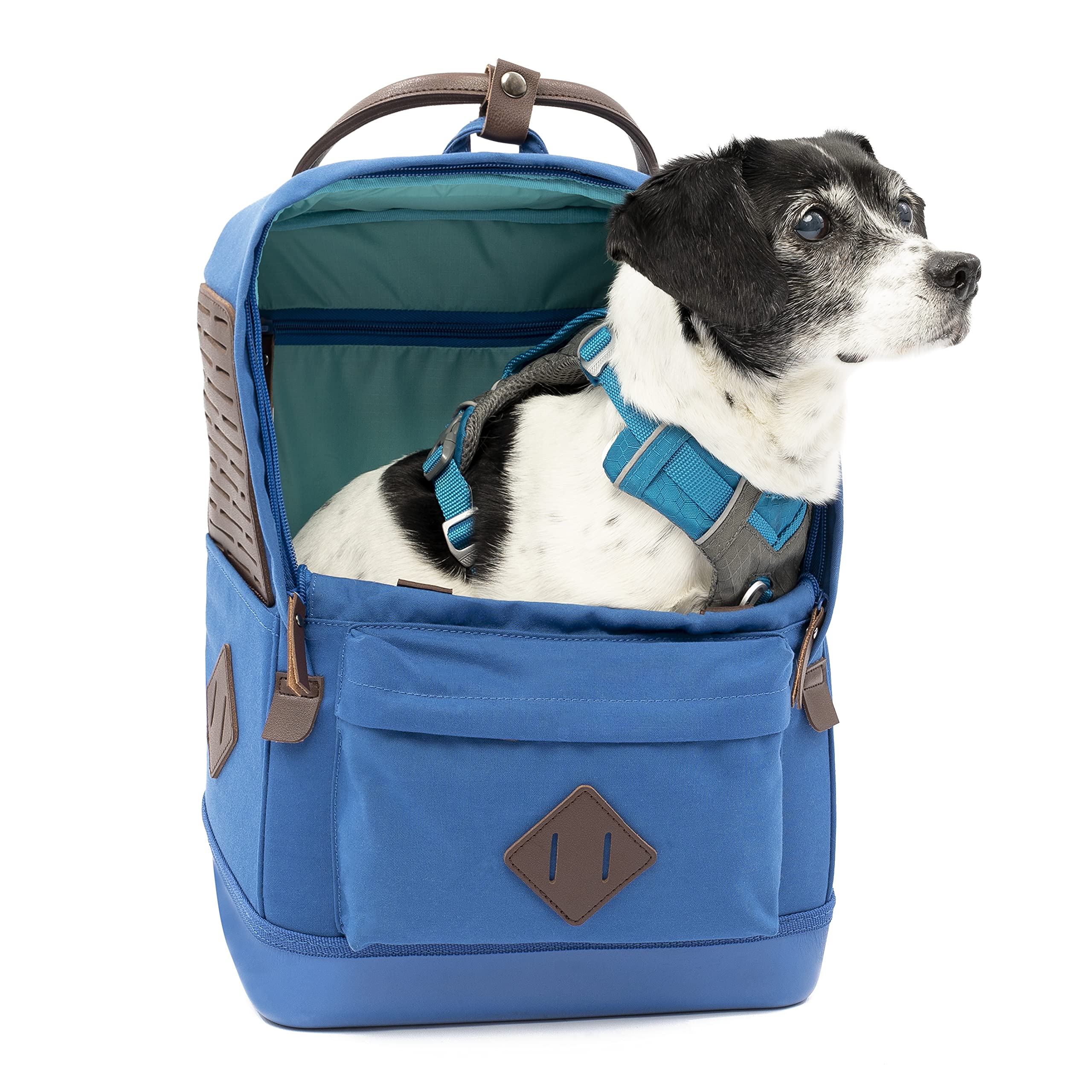 Kurgo Nomad Dog Carrier Backpack, Hiking Backpack for Small Dogs, Pet ...