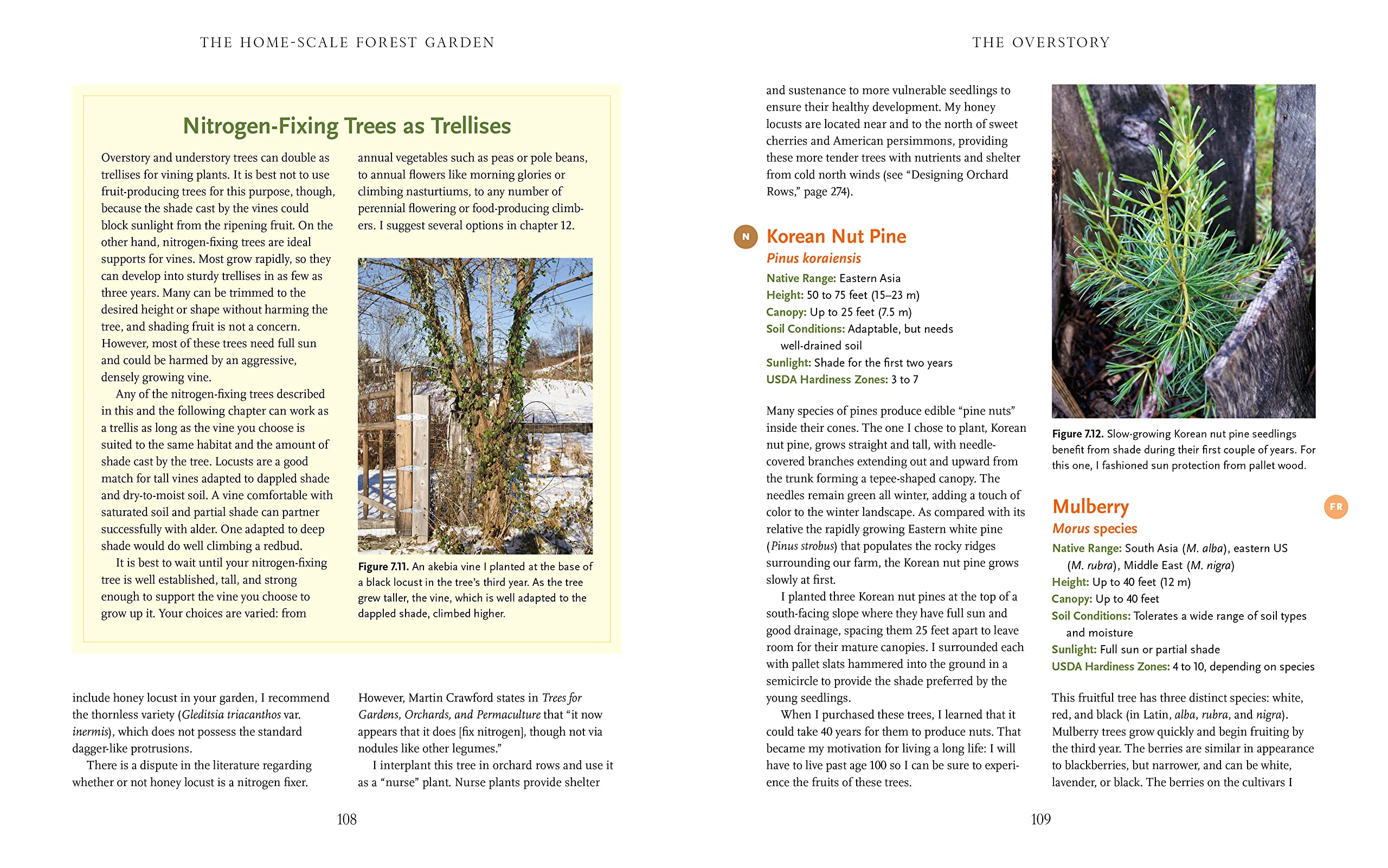 Mua The Home-Scale Forest Garden: How to Plan, Plant, and Tend a ...