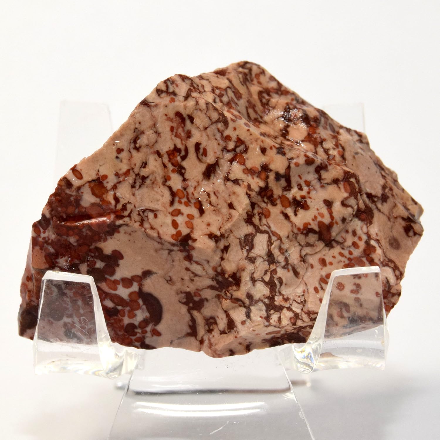 Amazon.com: 200 Carat Leopardskin Jasper Rough Stone Colorful ...