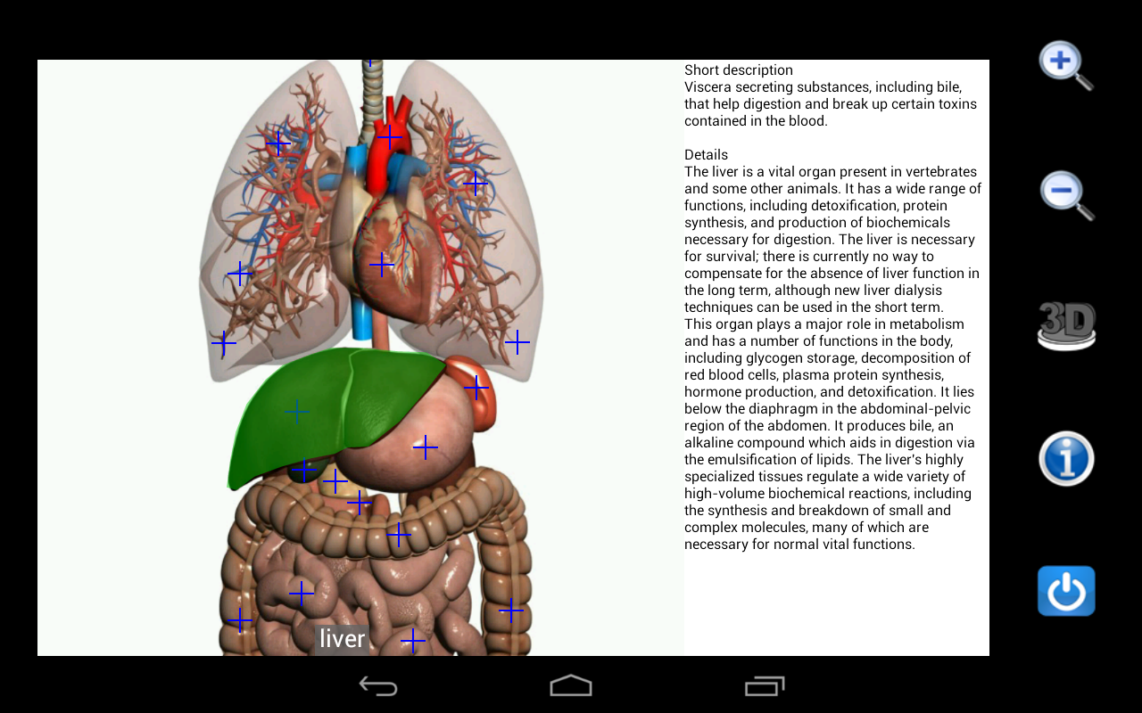 Visual Anatomy Free:Amazon.ca:Appstore for Android