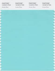 PANTONE Smart 13-5313X Color Swatch Card, Aruba Blue - House Paint ...