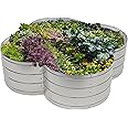 Amazon.com: Sunnydaze 4-Leaf Clover-Shaped Galvanized Steel Raised ...