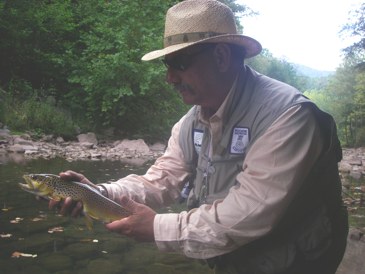 Astream: American Writers on Fly Fishing: DeMott, Robert, Raines ...