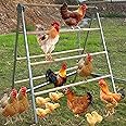 Amazon.com: INRLKIT Chicken Perch Ladder for Coops, Chicken Roosting ...