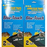 Amazon.com : 2 Packs of 2 Blue-Touch Jumbo Rat, Mice, and Snake Traps ...