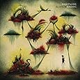 Eluvium - Similes - Amazon.com Music