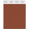 PANTONE Smart 18-1244X Color Swatch Card, Ginger Bread - Wall Decor ...